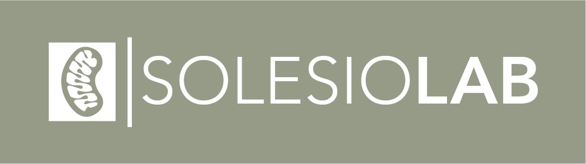 Solesio Lab – A Mitochondrial Cell Biology Lab